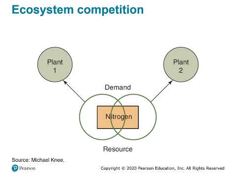 Module 3 Part 1 MP4