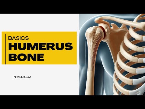 HUMERUS bone : Anatomy, Definition,Parts , Attachment easy way ✓#ptmedicoz #mbbs #physiotherapy