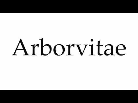 How to Pronounce Arborvitae