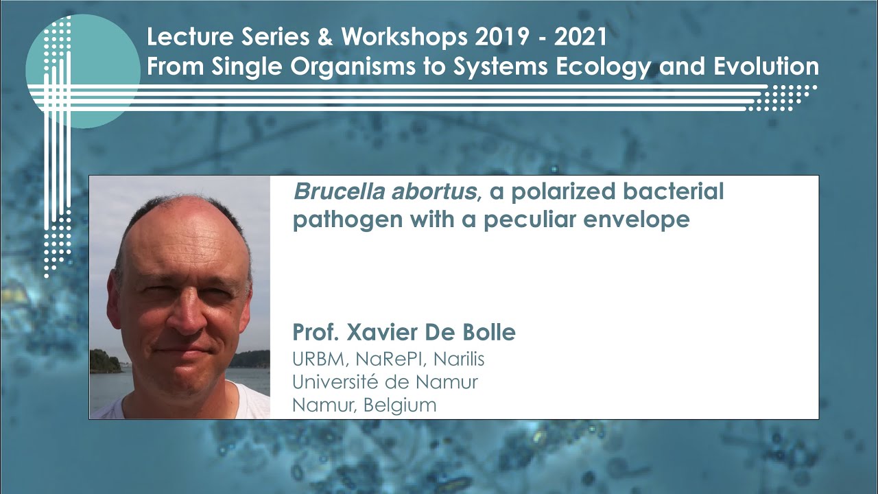 Brucella abortus, a polarised bacterial pathogen with a peculiar envelope by Prof. Xavier De Bolle