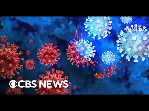 What to know about the spread of COVID-19 BQ variants, flu in U.S.