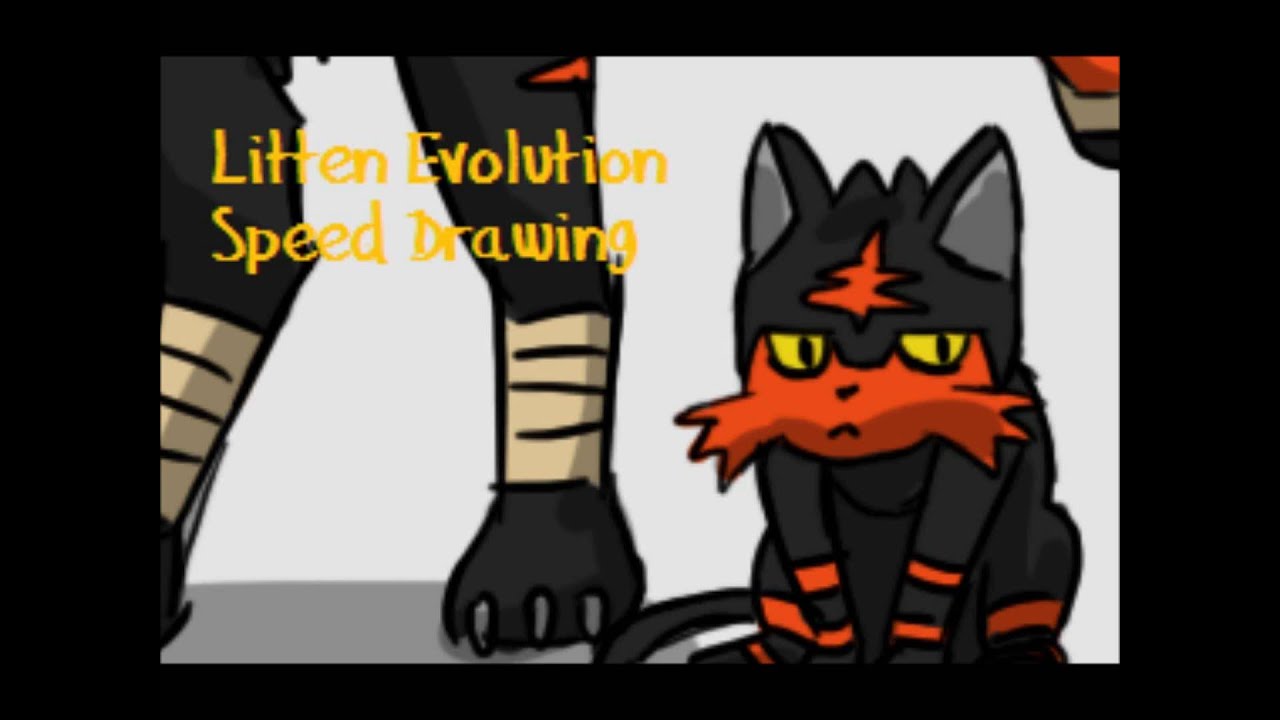 Litten Evolution Speed Drawing