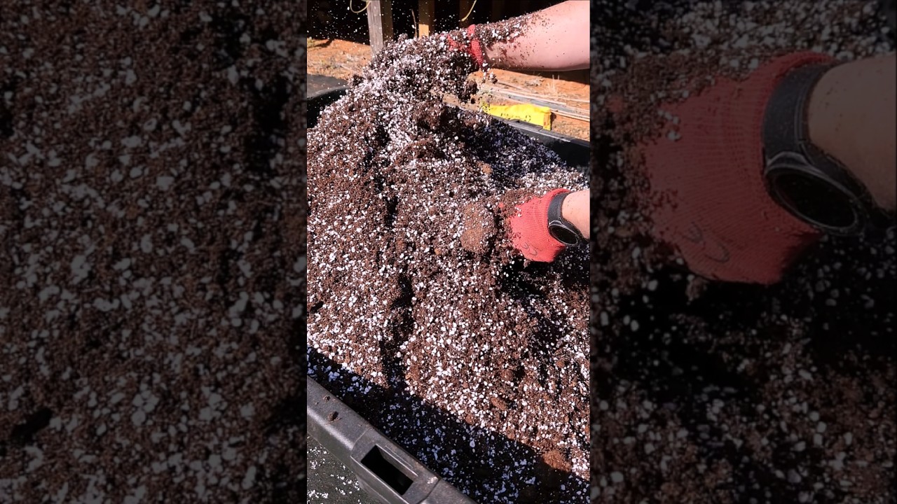 Make Your Own Soil (Week 2 Experiment Update)