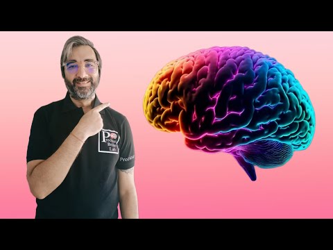 The understanding dopamine Guide For Everyone