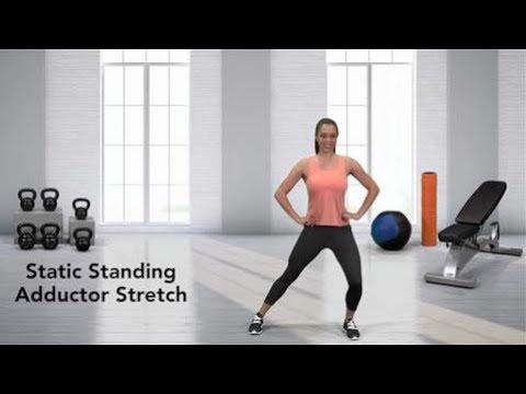 Standing Static Inner Thigh Stretch Home Exercise – Irene Pastore Fitness