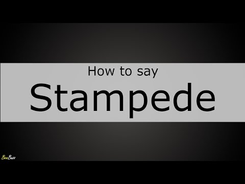 How to Pronounce Stampede