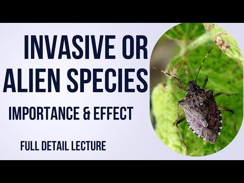 Alien species || invasive species || simple concept biology