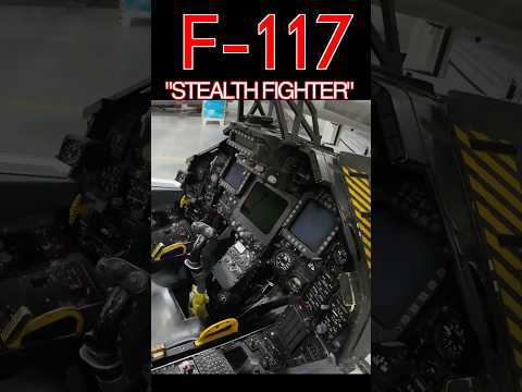 Lockheed F-117 Nighthawk guided tour! #aviation #planes #airplane