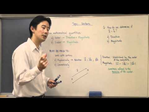 Vectors | IB Math