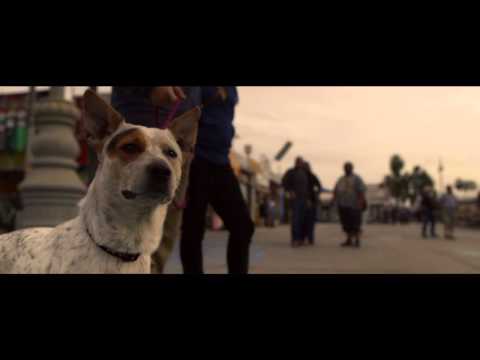 Explore Los Angeles Through a Film Director’s Eyes | Nicholas Stoller