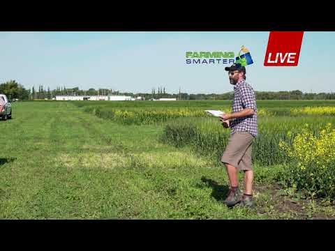 Targeting Kochia Control