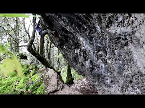 Masterpiece, V6. Salazar