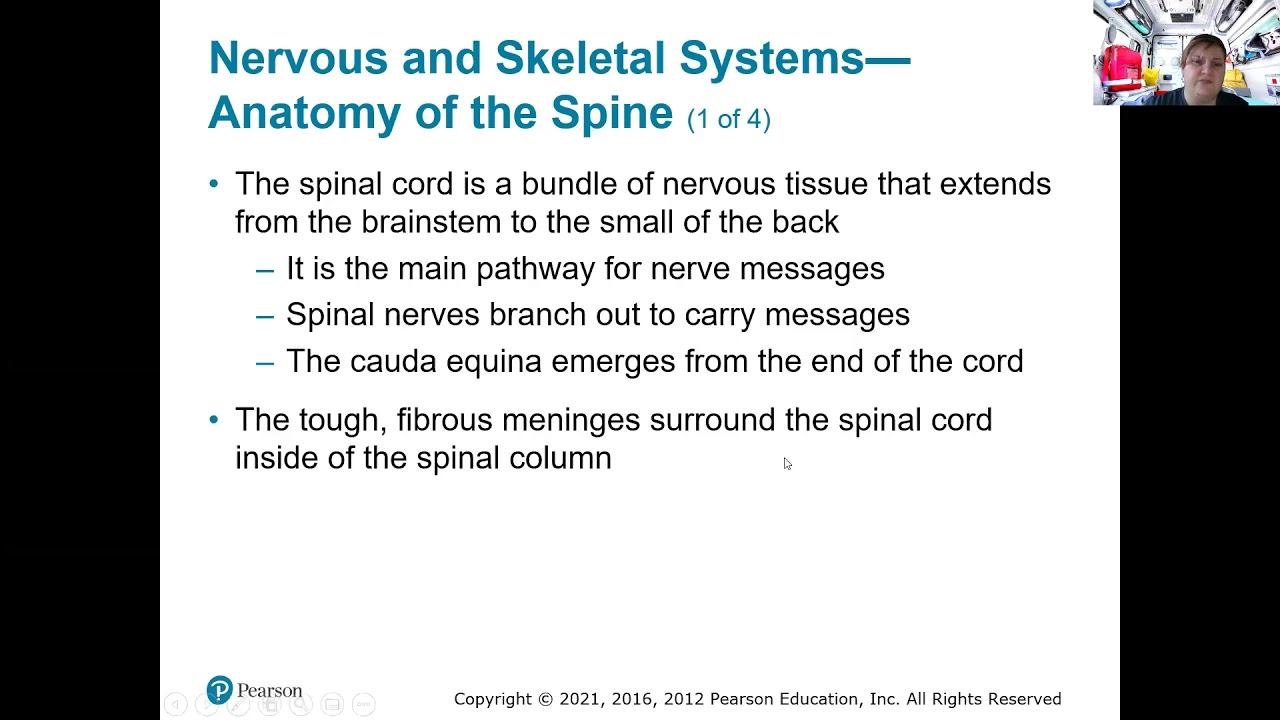 PPT Chapter 33 HeadNeckSpine Trauma