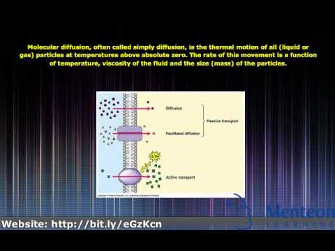 Concentration Gradient - College Biology