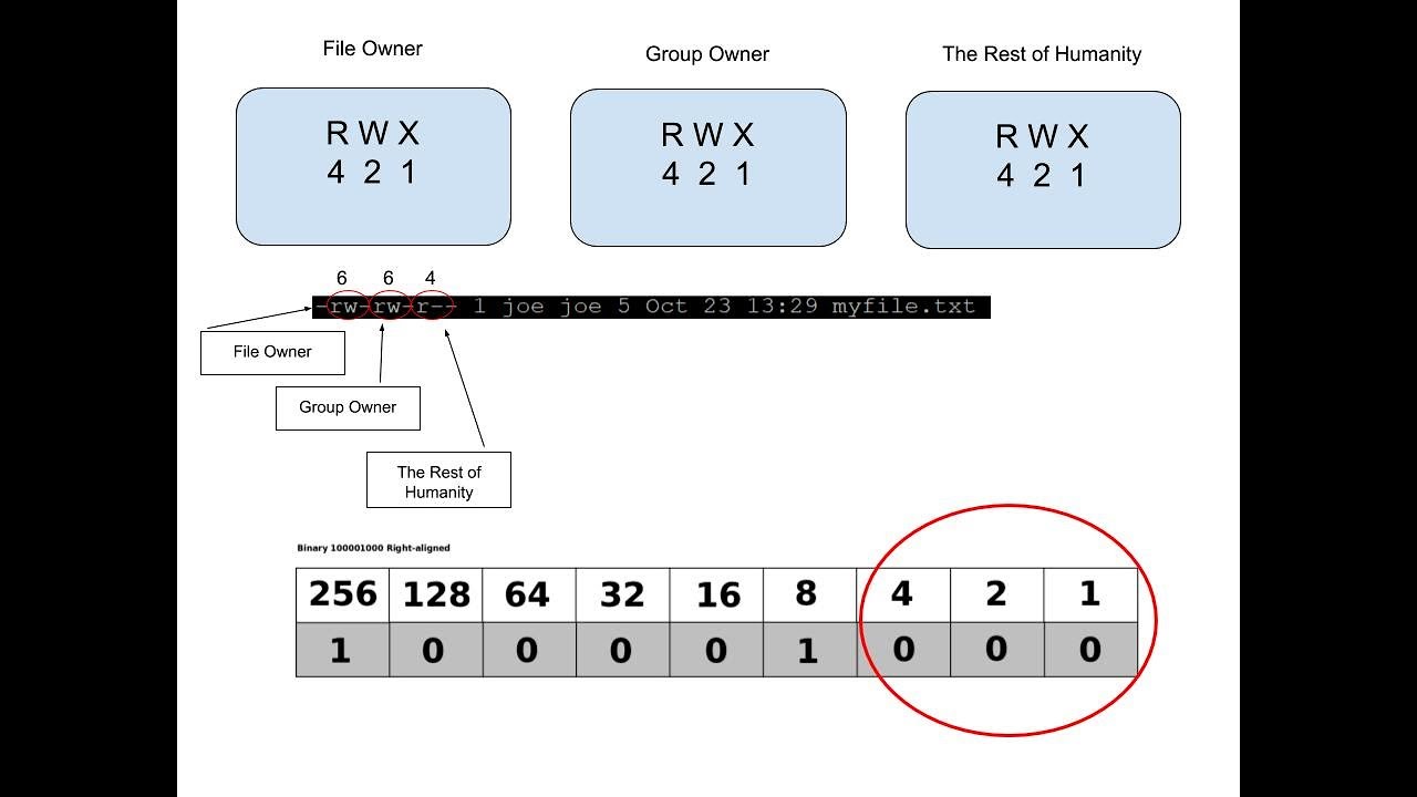 Linux CHMOD Tutorial (Part 01)