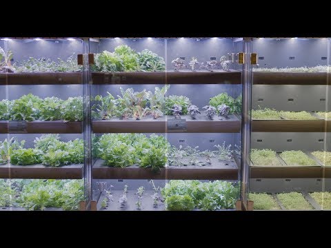 Startup Farmshelf aims to let restaurants, homeowners grow their own ...