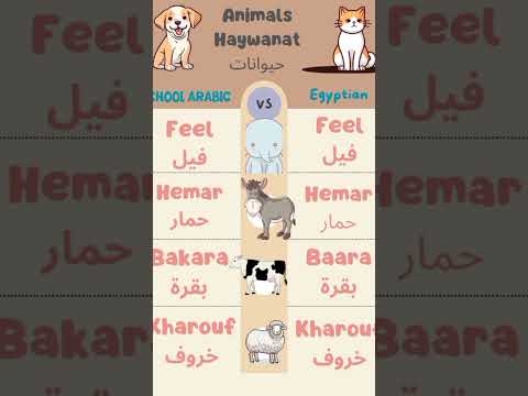 Animals in Arabic, part 2 #arabic #arabiclanguage #arabiclesson #anazala #funny