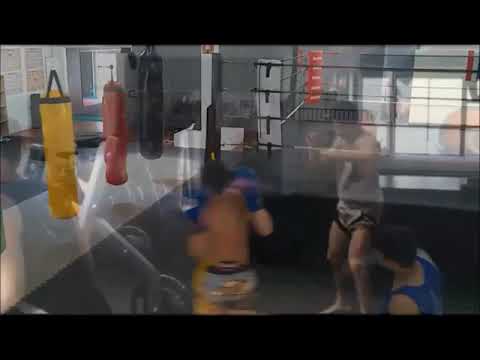 TMT GYM