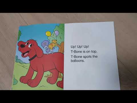 T-Bone on Top (book)