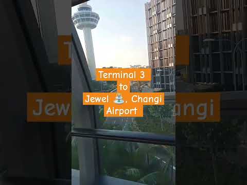 The way to "Jewel" ⛲ from Terminal 3 #airport #singapore #asia #exercise #walk #way #checkin #viral