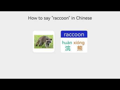 【Vocabulary Mammal Animal Names】 How to say raccoon in Mandarin Chinese