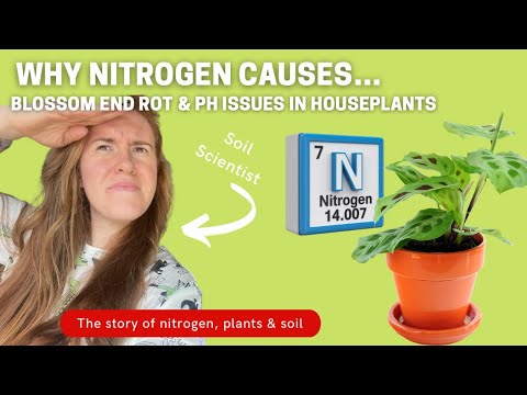 How Nitrogen Works With Plants & Why Balance Is Key. 17 Days Of Essential Plant Nutrients.