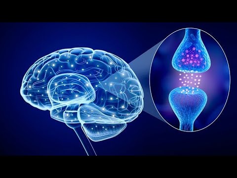 What is Serotonin? Ways to Boost Serotonin Levels? Normal Levels, Foods to Eat