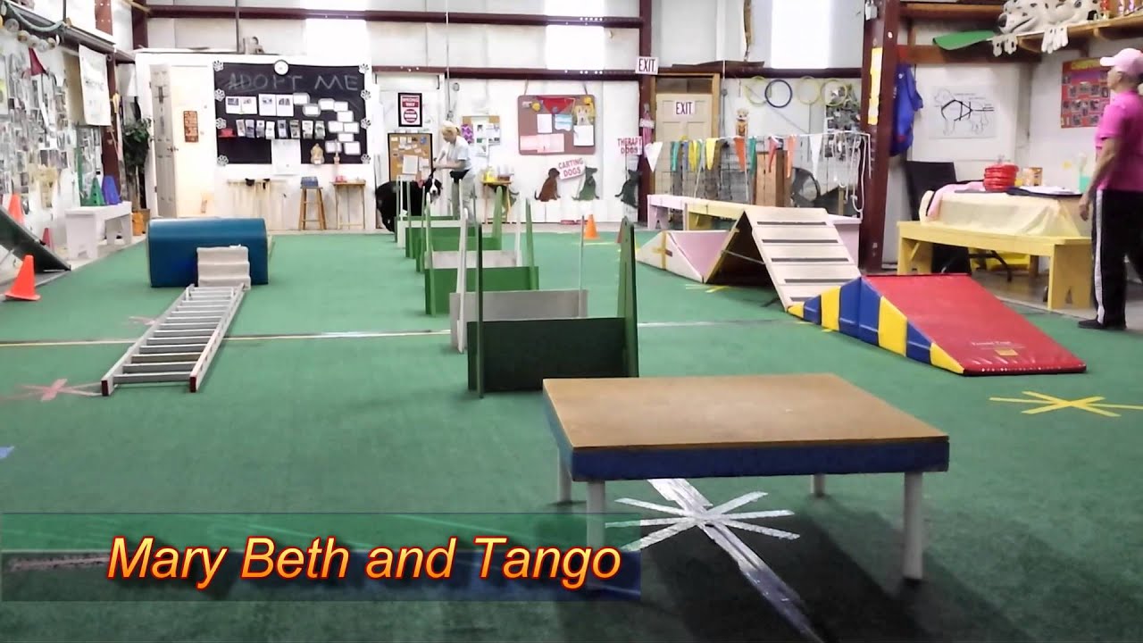 MaryBethandTango