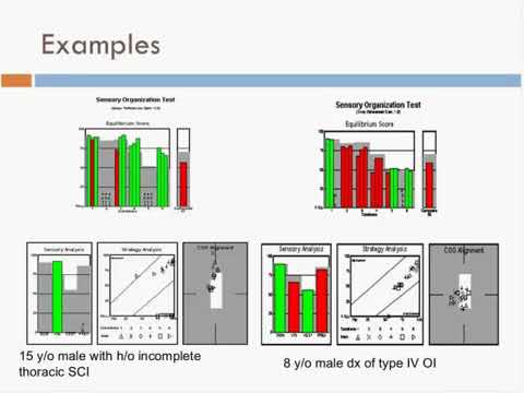 The Basics of Postural Stability Assessment and Rehabilitation_Joe Krzak_Nov 28, 2012