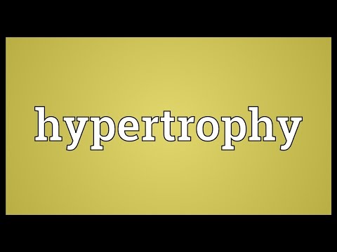 Hypertrophy Meaning