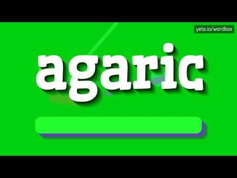 AGARIC - HOW TO SAY AGARIC?