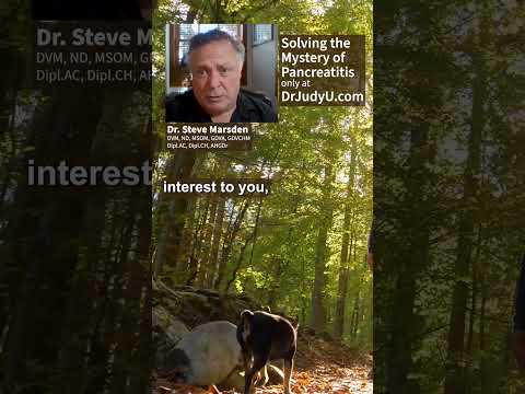 🕵🏻 Decode the Mystery of Pancreatitis with Dr. Steve Marsden