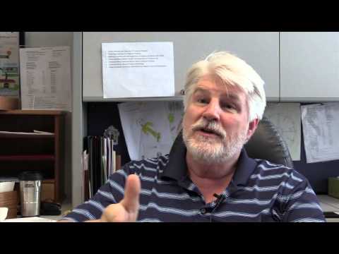 Faculty Spotlight: Dr. Kelder