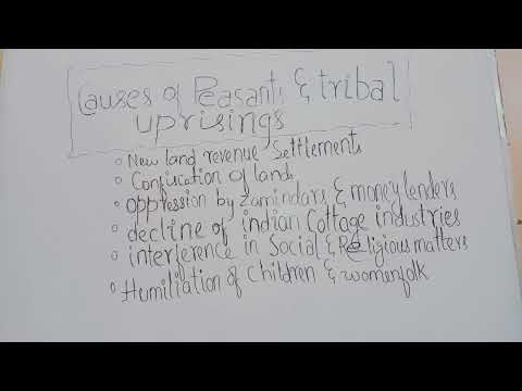 Causes of peasants and tribal revolt class x in urdu