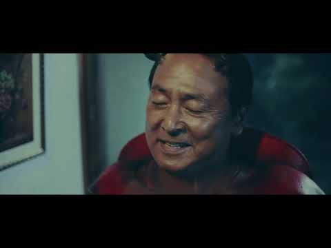 Ocedel LED - Firefly Man (2016, Japan)