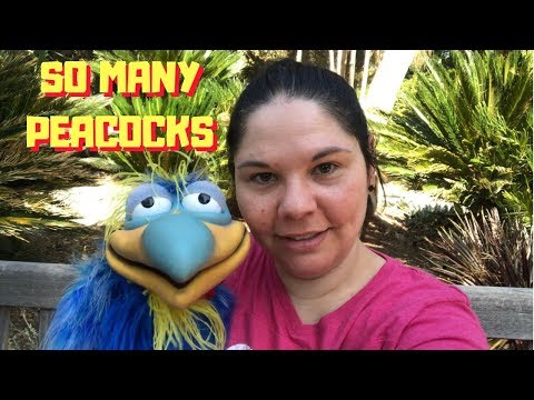 Los Angeles Arboretum & Botanical Gardens
