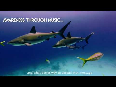 Song for the Sea | International Songwriting Competition