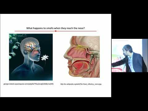 Olfaction in Science and Society