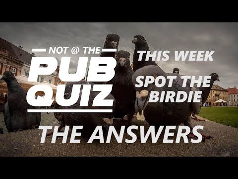 Not @ The Pub Quiz - Answers - Spot the Birdie