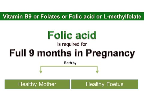 Folic acid for Pregnancy (23Jan23)