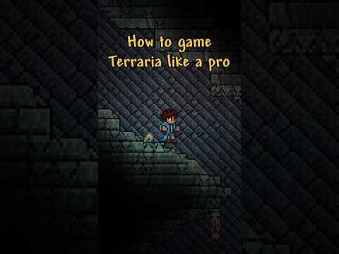 Five tips the guide doesn't want you to know #terraria