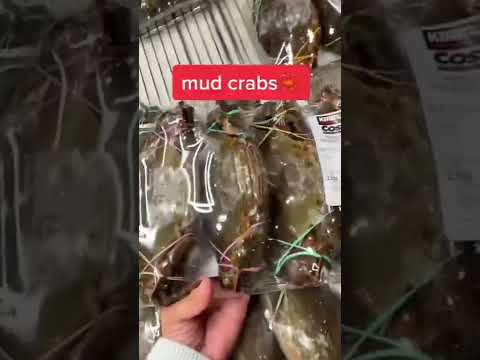 Steamed Crab in Beer for Friday night - went to the first Costco in New Zealand #crab #costco