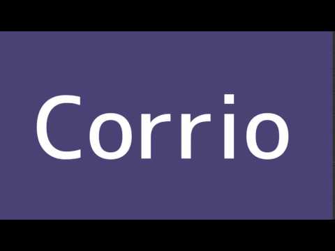 How to say Ran in Spanish