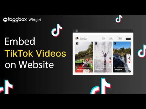 How to Embed TikTok Videos on Website & Make it Responsive