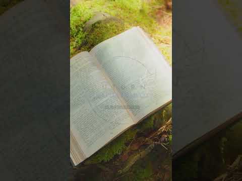 Jehovah Sabaoth - what is the Spiritual meaning of this name of God? #motivation #JehovahSabaoth
