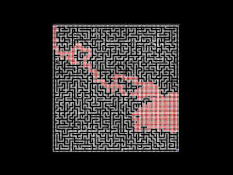 Algorithm Visualization