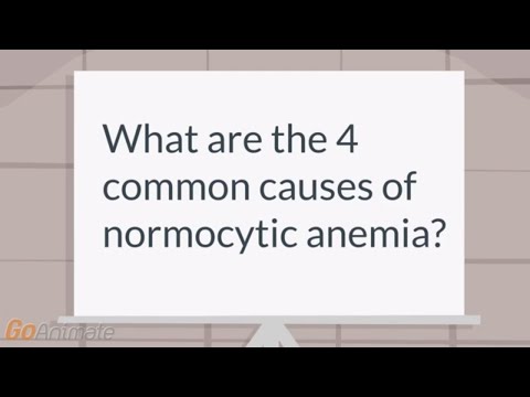 Normocytic anemia?