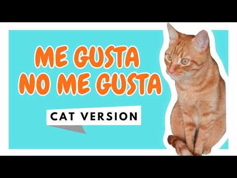 Me gusta y no me gusta | How to use gustar (to like) in Spanish
