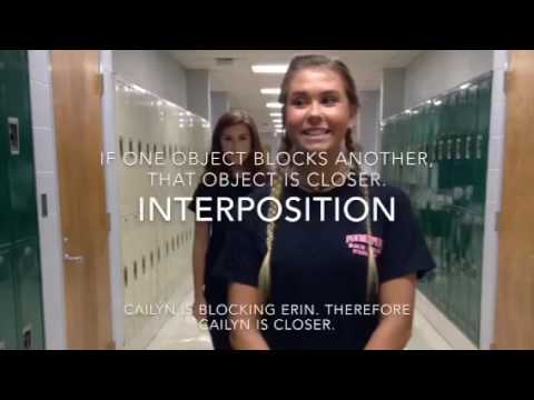 Ap psychology project