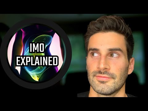 What is Intestinal Methanogen Overgrowth (IMO)?